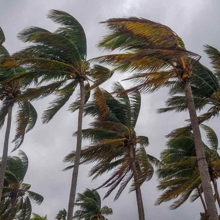 Live Hurricane Melissa Updates for Jamaica - Light Travels Inc